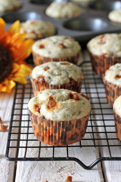 Banana Cinnamon Chip Muffins - Damn Delicious
