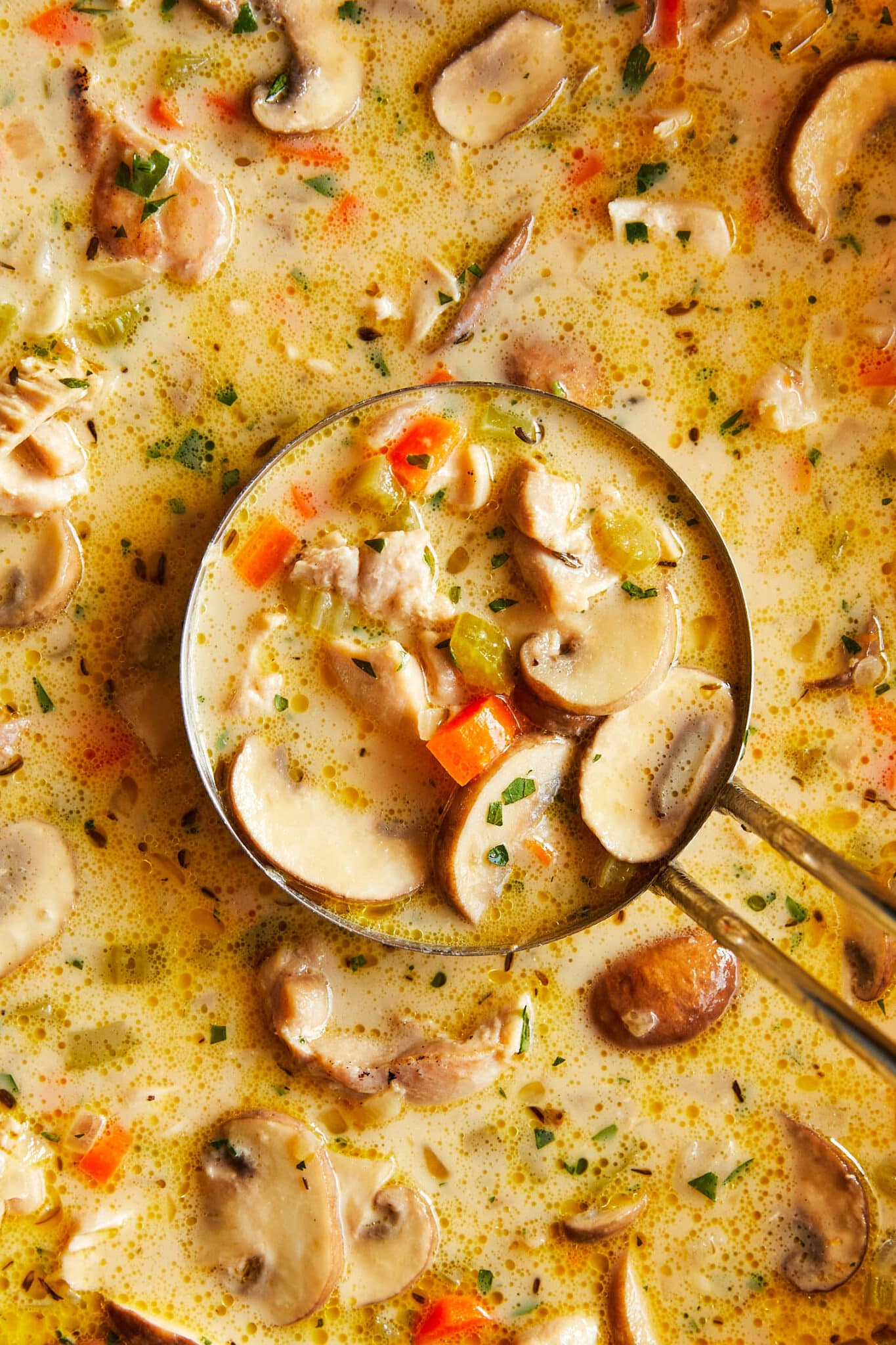 Creamy Chicken and Mushroom Soup - Damn Delicious