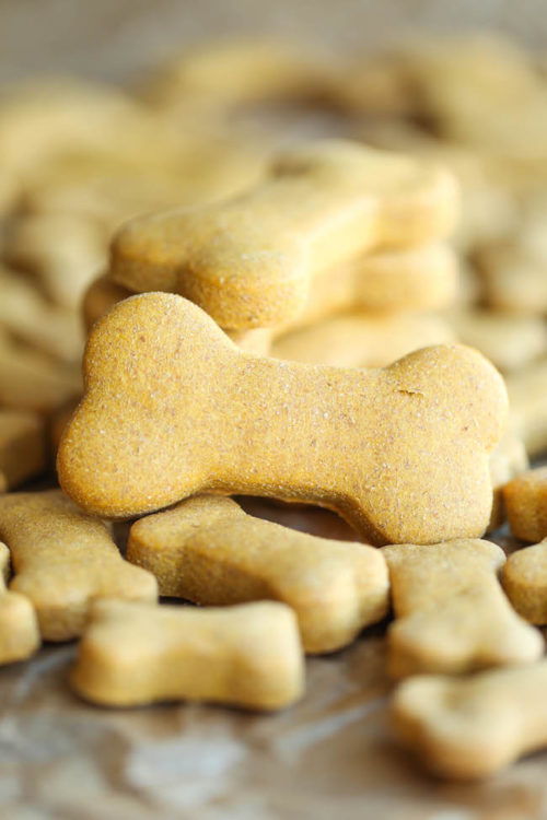 Dog Food Recipes | Must Try Delicious Recipes - Damn Delicious