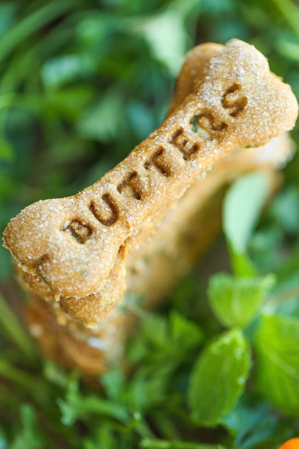 Pumpkin Apple Doggie Mint Treats - Damn Delicious