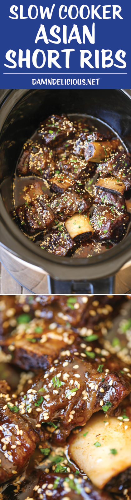 Slow Cooker Asian Short Ribs - Damn Delicious