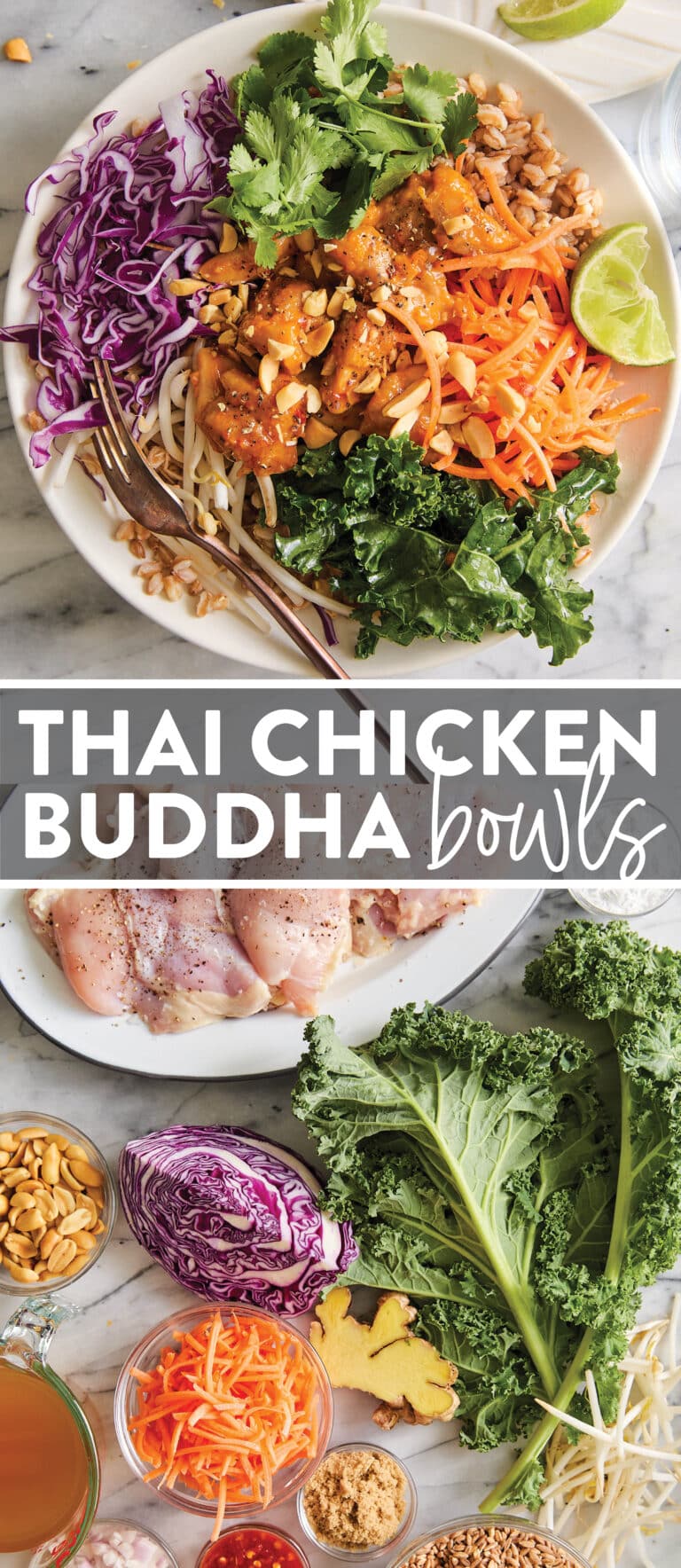 Thai Chicken Buddha Bowls - Damn Delicious