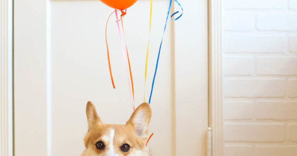 Welcome to the New Damn Delicious Website! - Damn Delicious