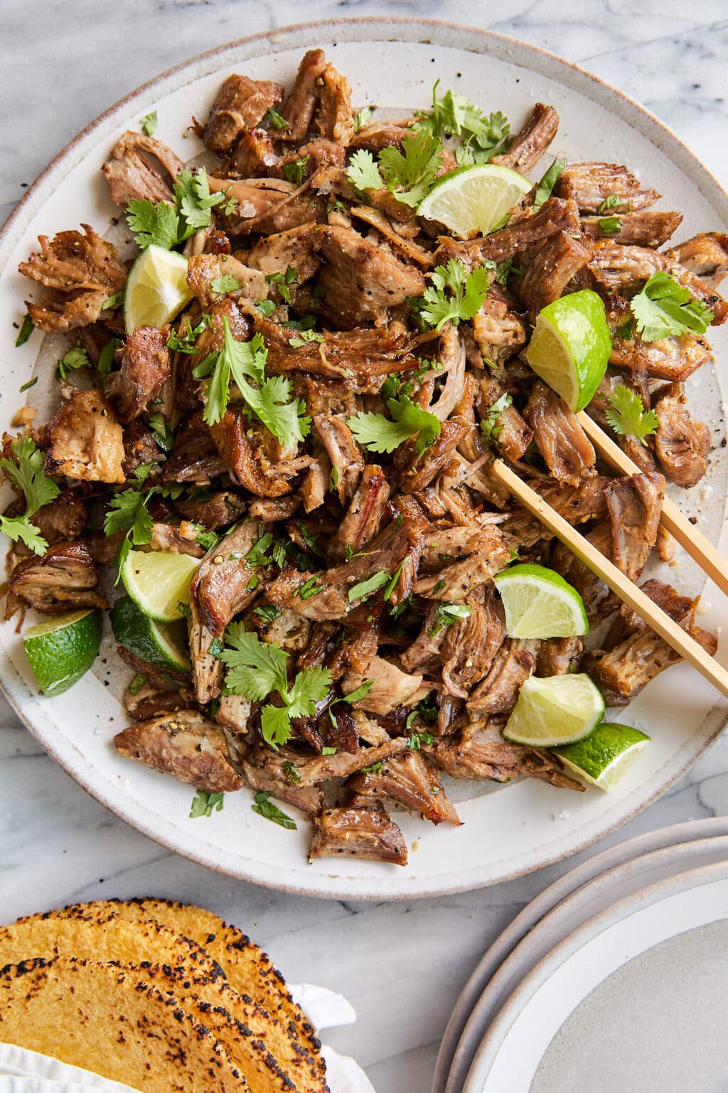 Instant Pot Pork Carnitas - Damn Delicious