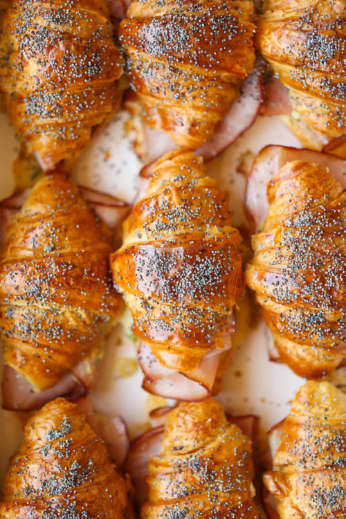 Baked Ham and Cheese Croissants - Damn Delicious