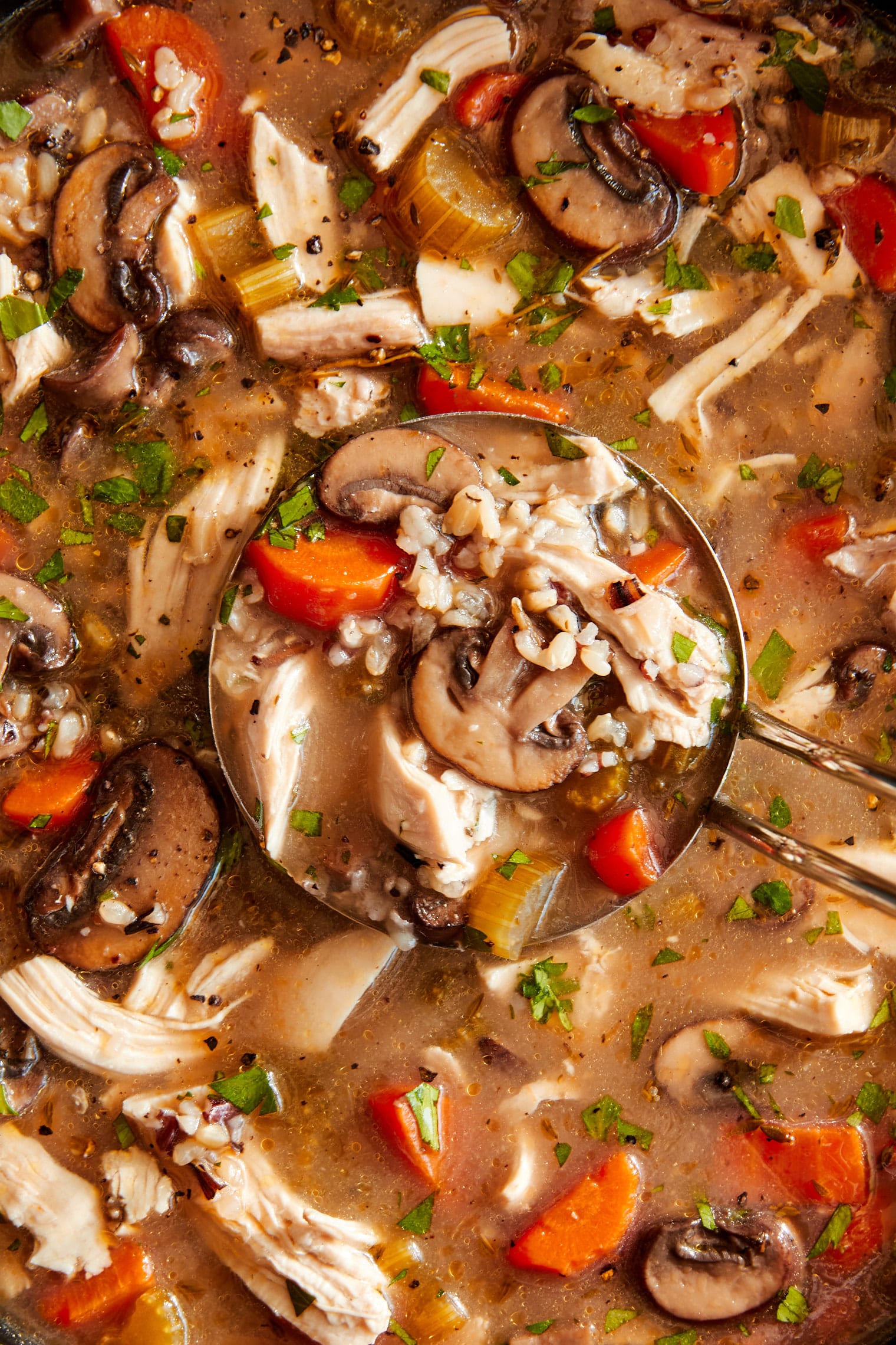 Chicken and Wild Rice Soup - Damn Delicious