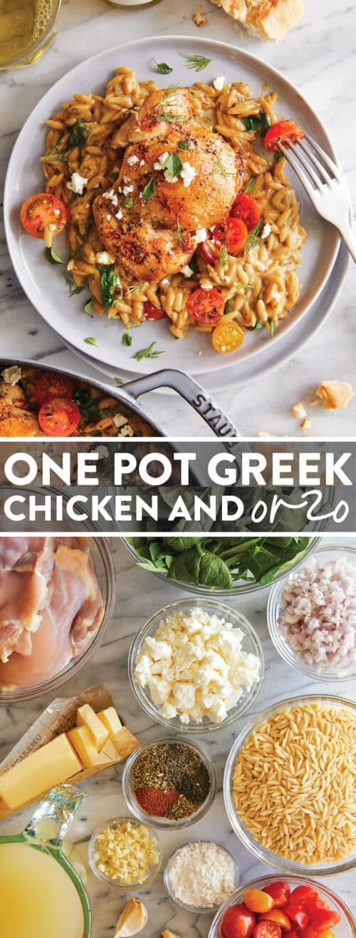One Pot Greek Chicken and Orzo - Damn Delicious