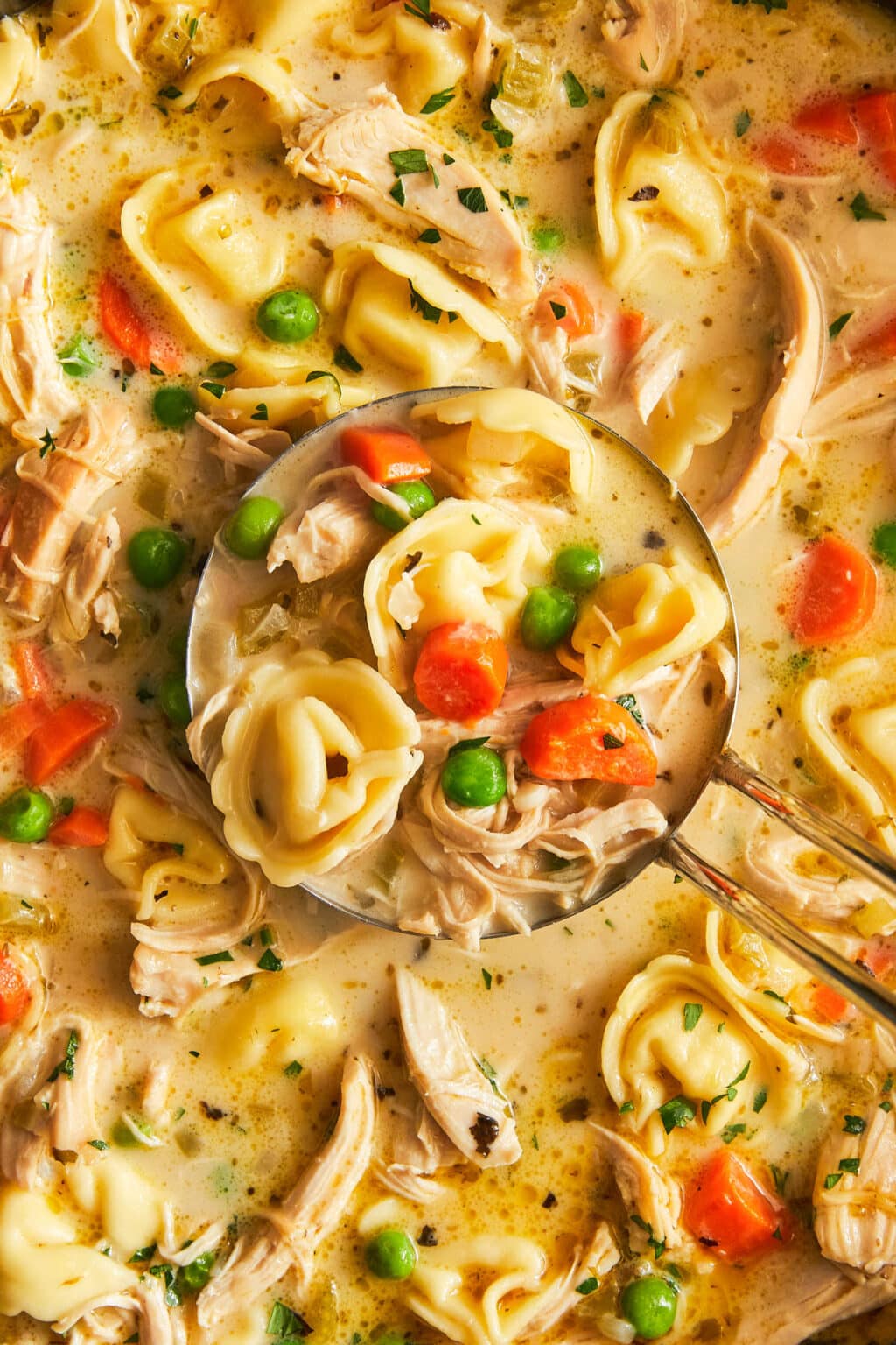 Creamy Chicken Tortellini Soup - Damn Delicious